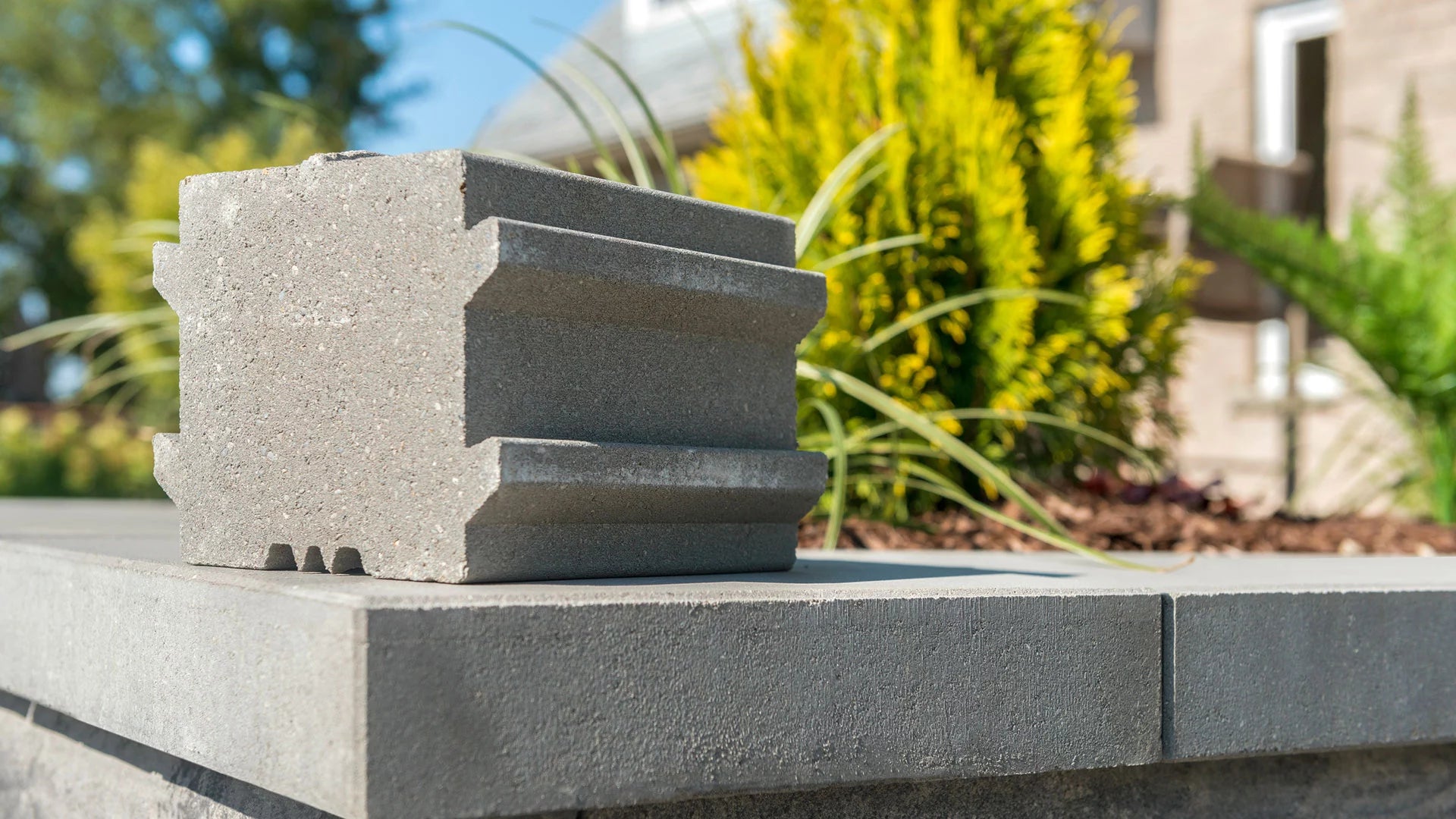 U-Cara Sure Track Back | Canlok Stone